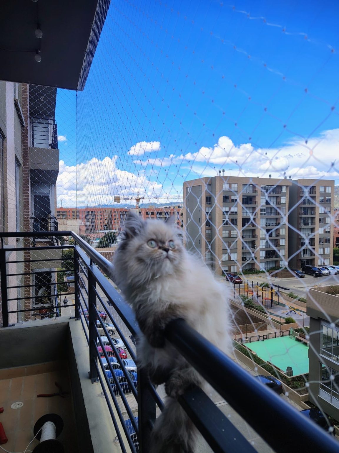 Mallas de Seguridad para Gatos | Protección en Casa