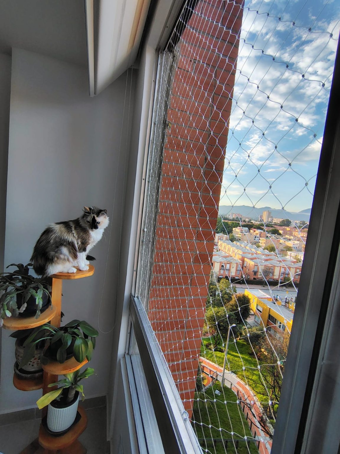 Mallas de Seguridad para Gatos | Protección en Casa