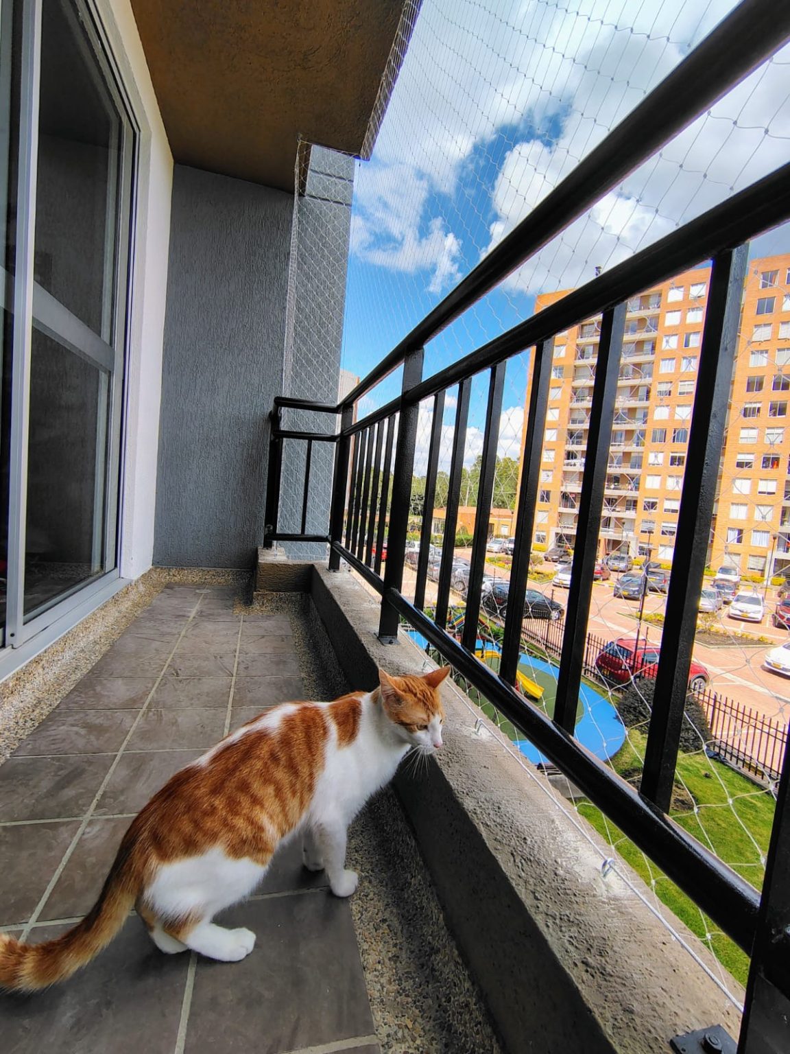 Mallas de Seguridad para Gatos | Protección en Casa