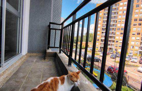 Galería de Proyectos | Instalación de Mallas de Seguridad