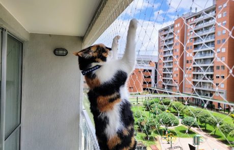 Galería de Proyectos | Instalación de Mallas de Seguridad