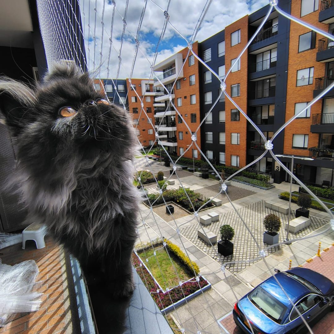 Galería de Proyectos | Instalación de Mallas de Seguridad